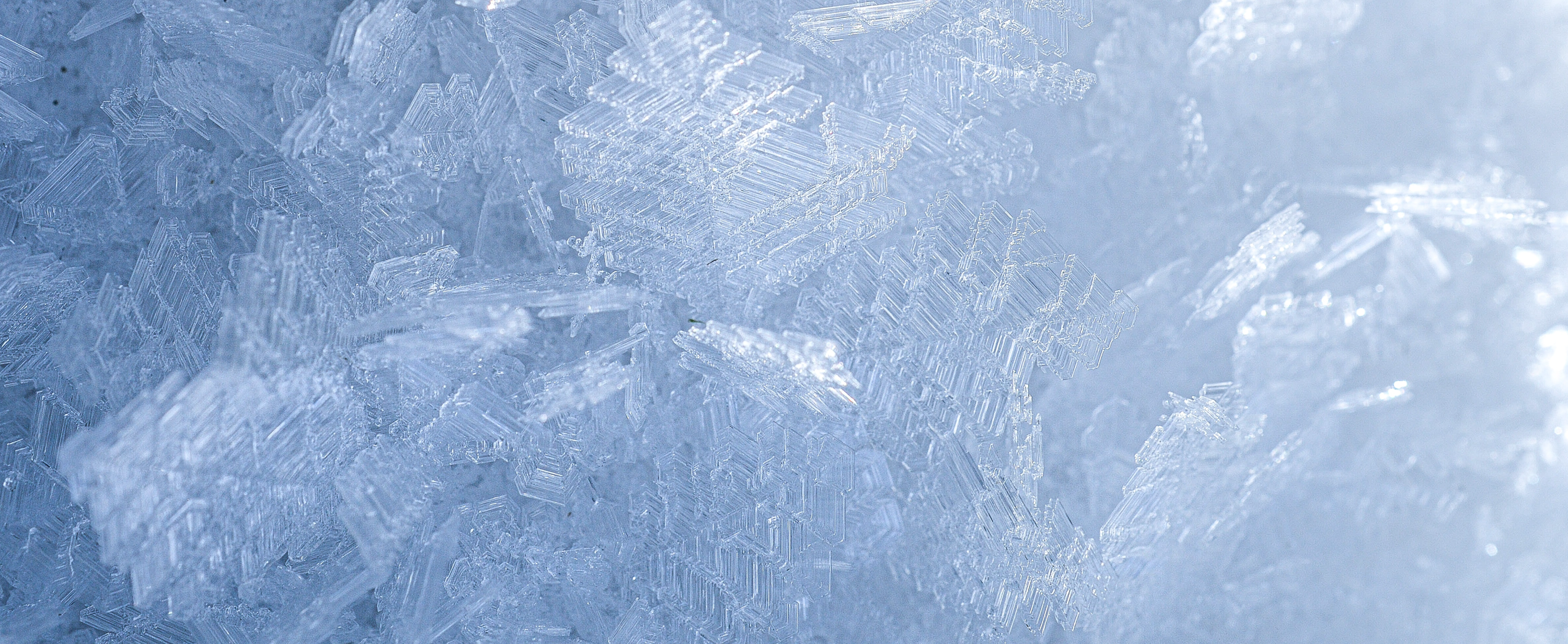 Frost – Bleecker & Prince